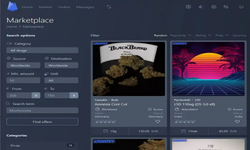 Archetyp Market Features | What Drives the 2025 Darknet Leader